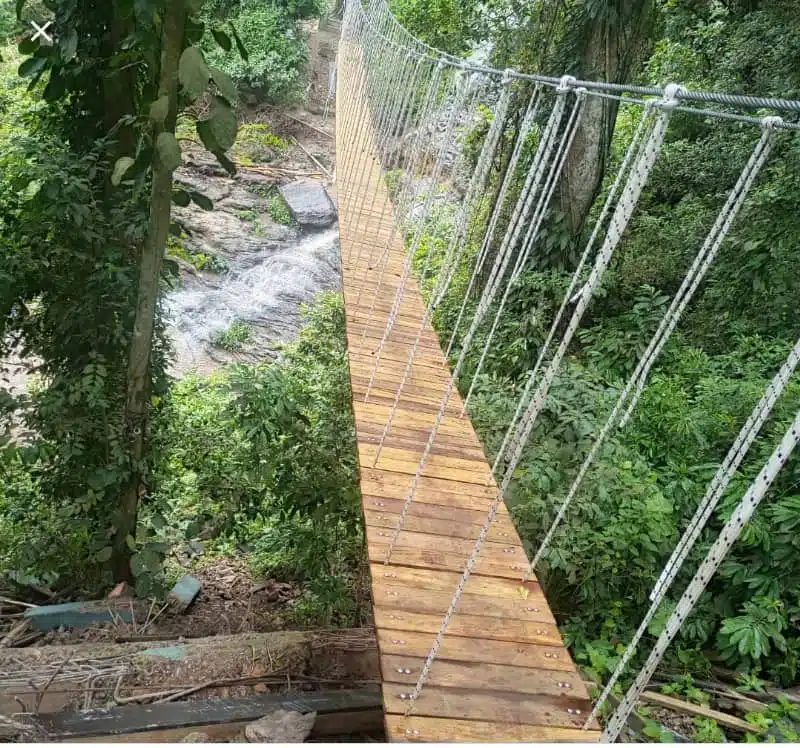 New Canopy Walkway at Amedzofe in the Volta Region - Sophia Apenkro Blog