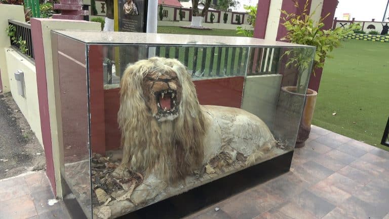 Manhyia Palace Museum - Sophia Apenkro Blog